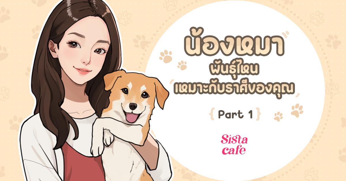 น้องหมาพันธุ์ไหนเหมาะกับราศีของคุณ Part 1 | บทความของ Ammy | SistaCafe ครบเครื่องเรื่องบิวตี้
