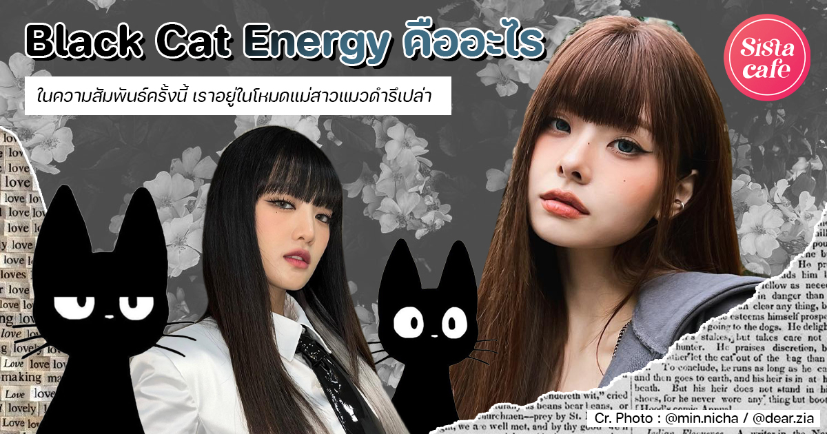 Black Cat Energy คืออะไร ความสัมพันธ์นี้เราเปิดโหมดแม่สาวแมวดำรึเปล่า ...