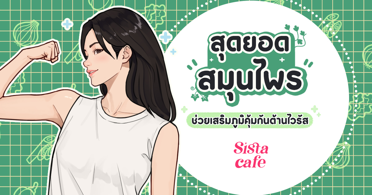 สุดยอดสมุนไพร ช่วยเสริมภูมิคุ้มกันต้านไวรัส | บทความของ Ammy | SistaCafe ครบเครื่องเรื่องบิวตี้