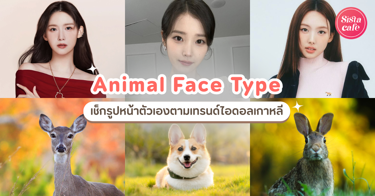 Animal Face Type รูปหน้าเราเป็นแบบไหน ? เช็กรูปหน้าตามไอดอลเกาหลี | บทความของ Ppom | SistaCafe ...