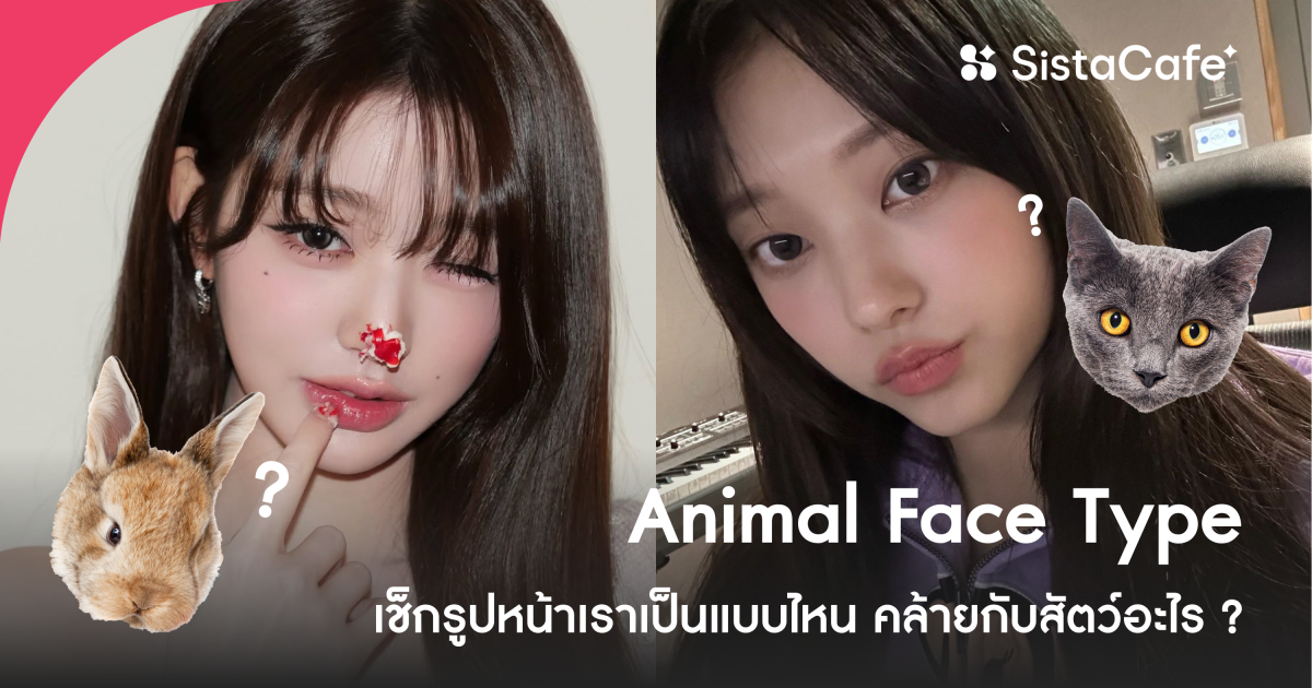 Animal Face Type รูปหน้าเราเป็นแบบไหน ? เช็กรูปหน้าตามไอดอลเกาหลี | บทความของ Ppom | SistaCafe ...